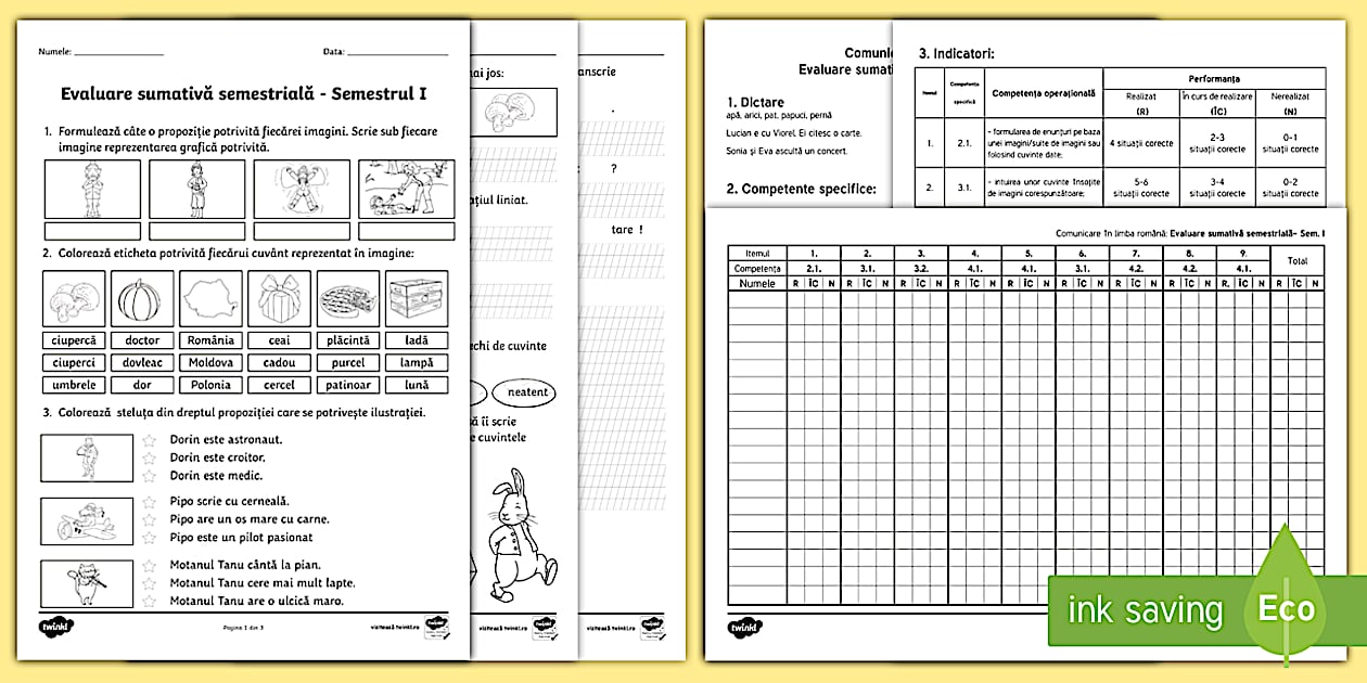 Fișă de Evaluare sumativă CLR Clasa I | Twinkl România