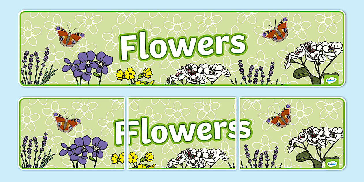 Flowers Display Banner (Teacher-Made) - Twinkl