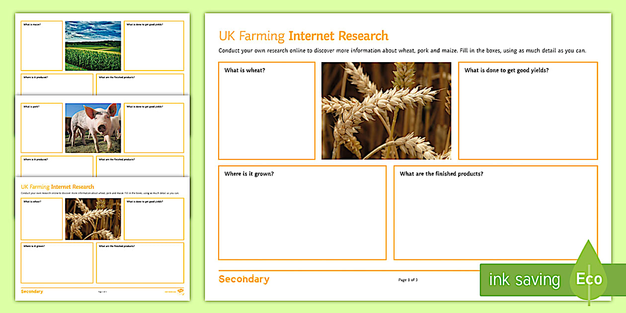 Food and Farming Internet Research Worksheet / Worksheet