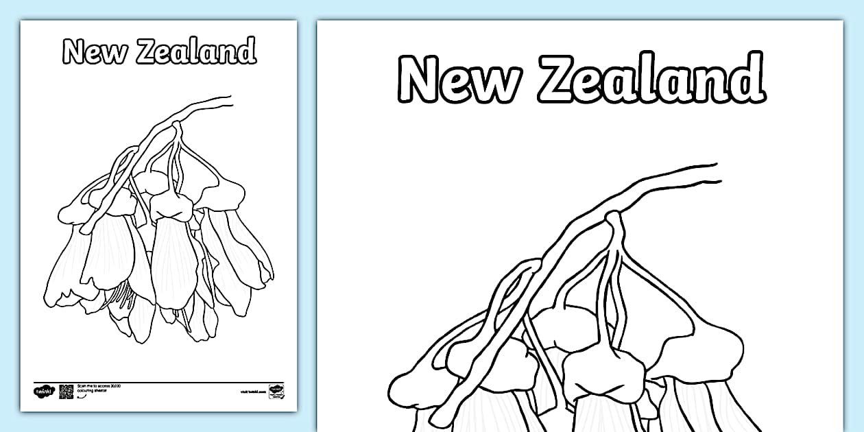 National Flower of New Zealand Colouring Sheet - Twinkl