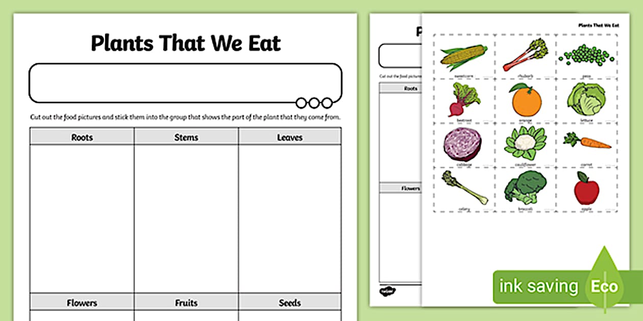 Plants We Eat Worksheet (teacher made) - Twinkl