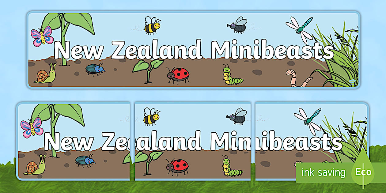 New Zealand Minibeasts Nature Display Boards - Twinkl NZ