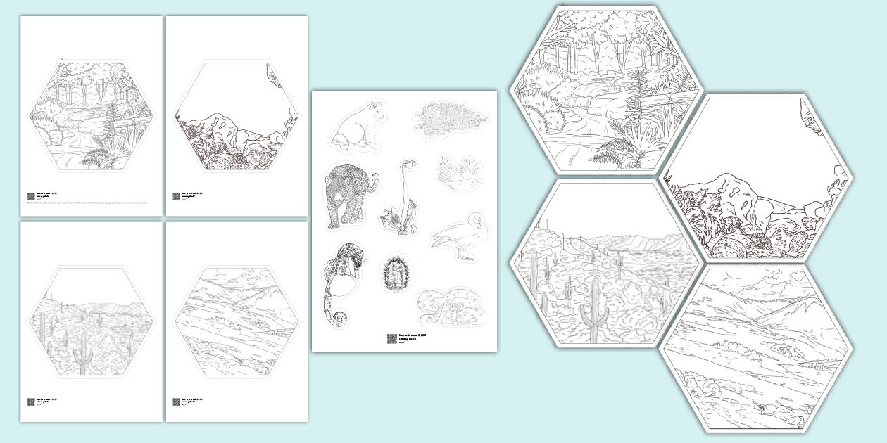 Habitats Hexagon Display Colouring Activity (Teacher-Made)