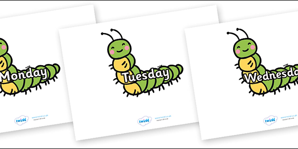 Editable Days of the Week on Caterpillars - Twinkl