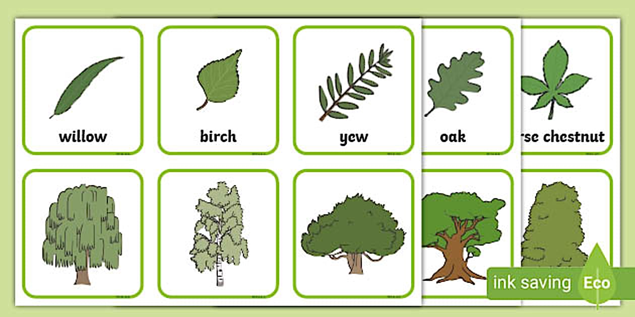 Trees and Leaves Match Up Game -games, activities, matching