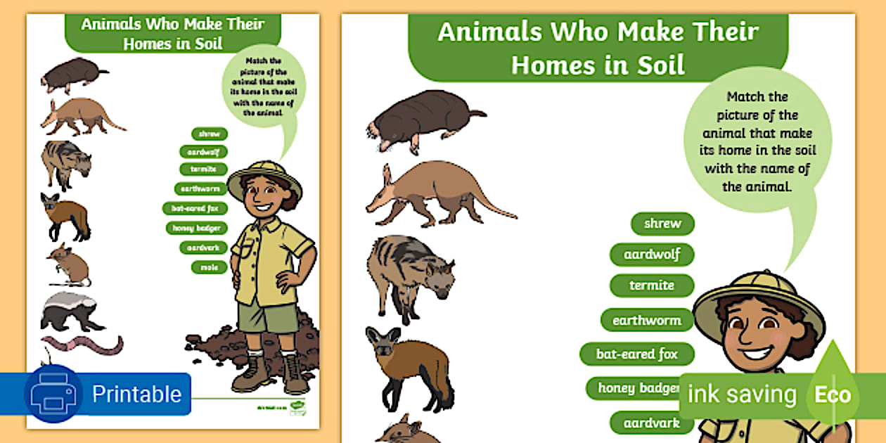 Animals Who Make Their Homes in Soil Activity (teacher made)