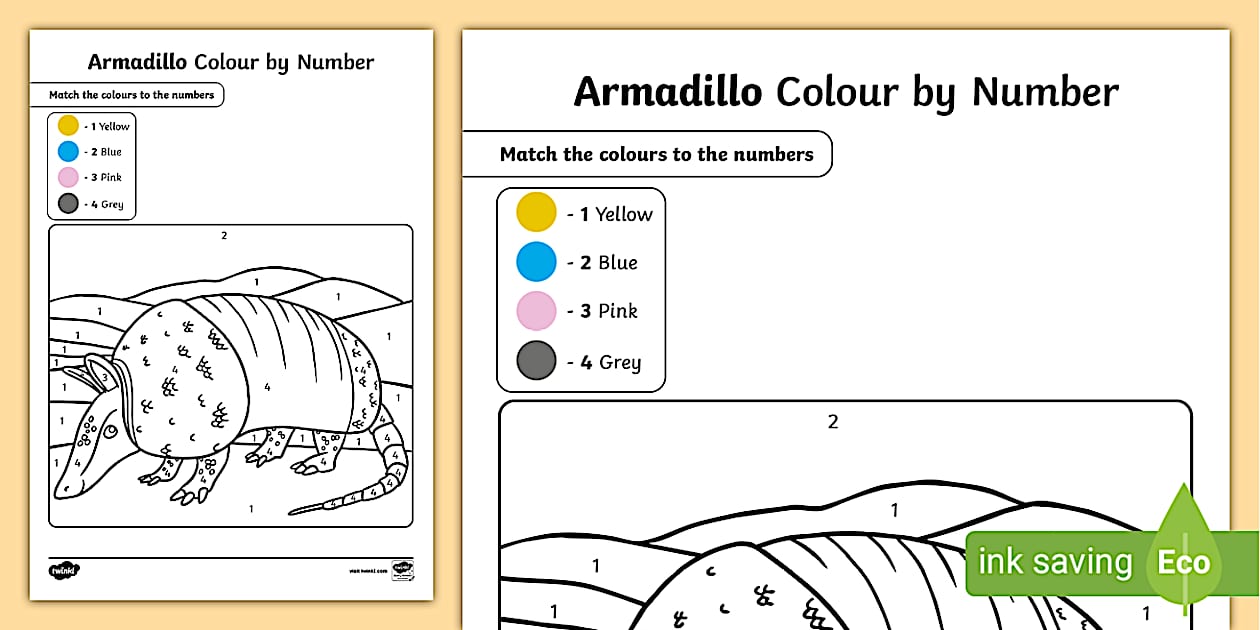 Armadillo Colour-by-Number Worksheet | Colour -Matching KS1