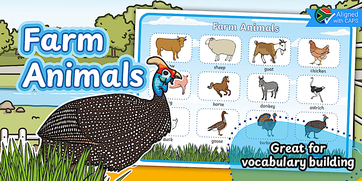 Types of Farm Animals Word Mat