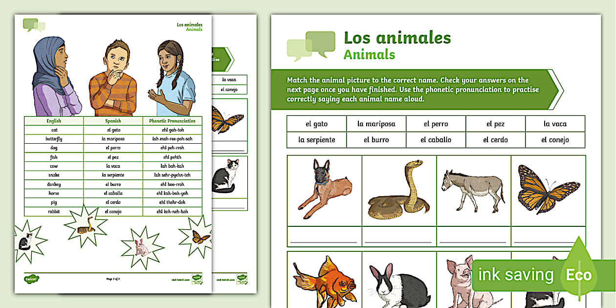 Spanish Animals | English to Spanish | Match and Say