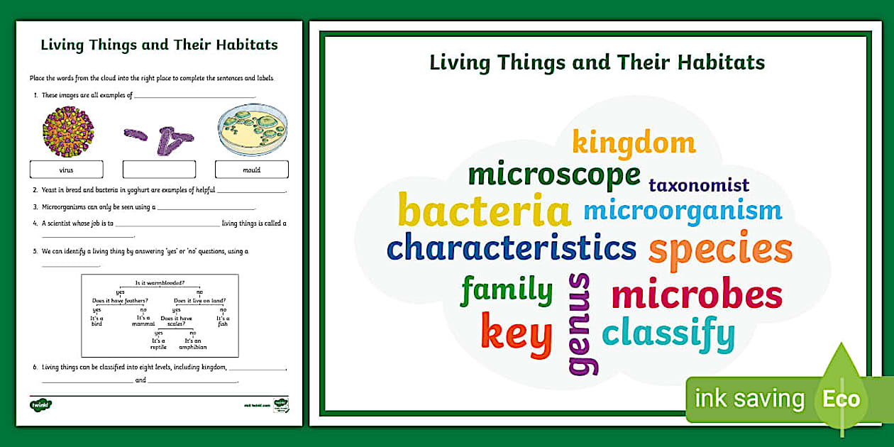 Y6 Living Things and Their Habitats Science Key Vocabulary Cloud and ...