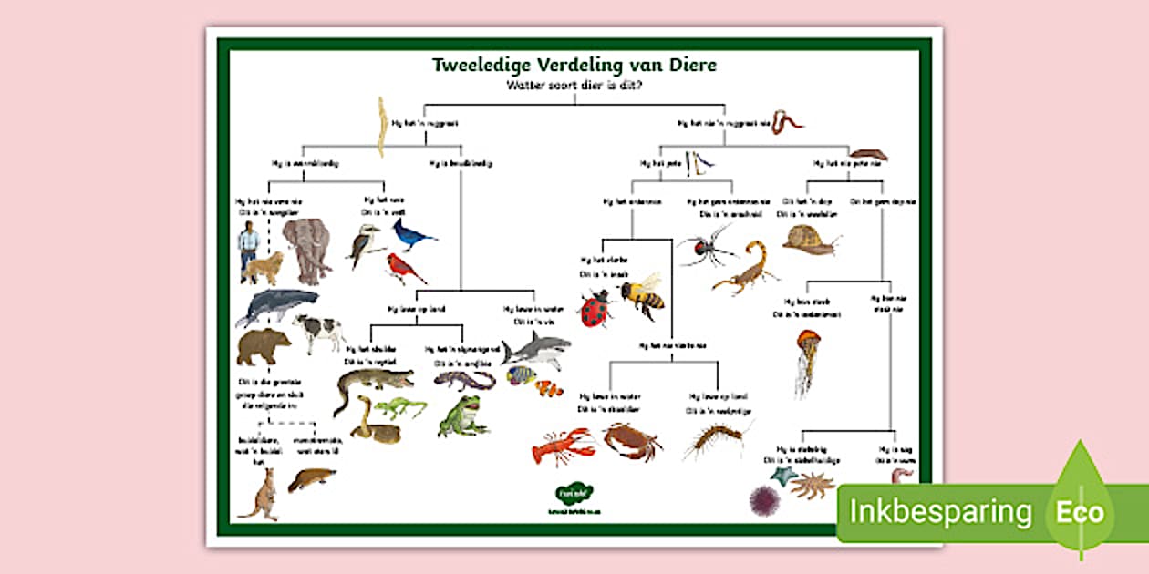 Tweeledige Verdeling van Diere Plakkaat - Twinkl