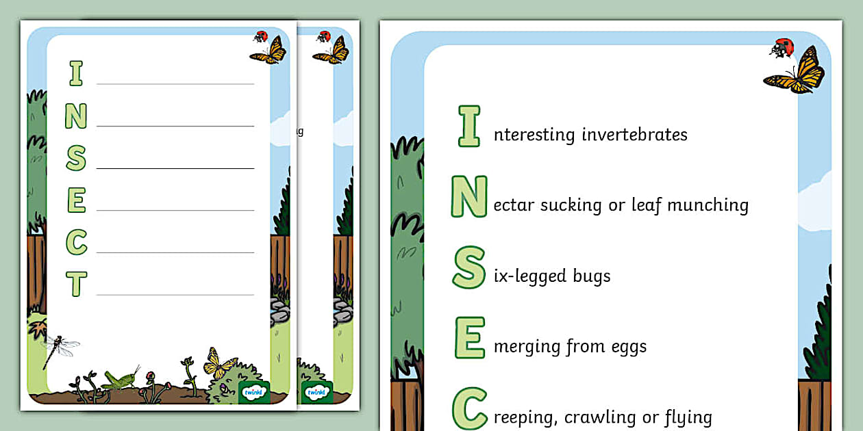 Insect Acrostic Poem Example and Template - KS1 - Twinkl