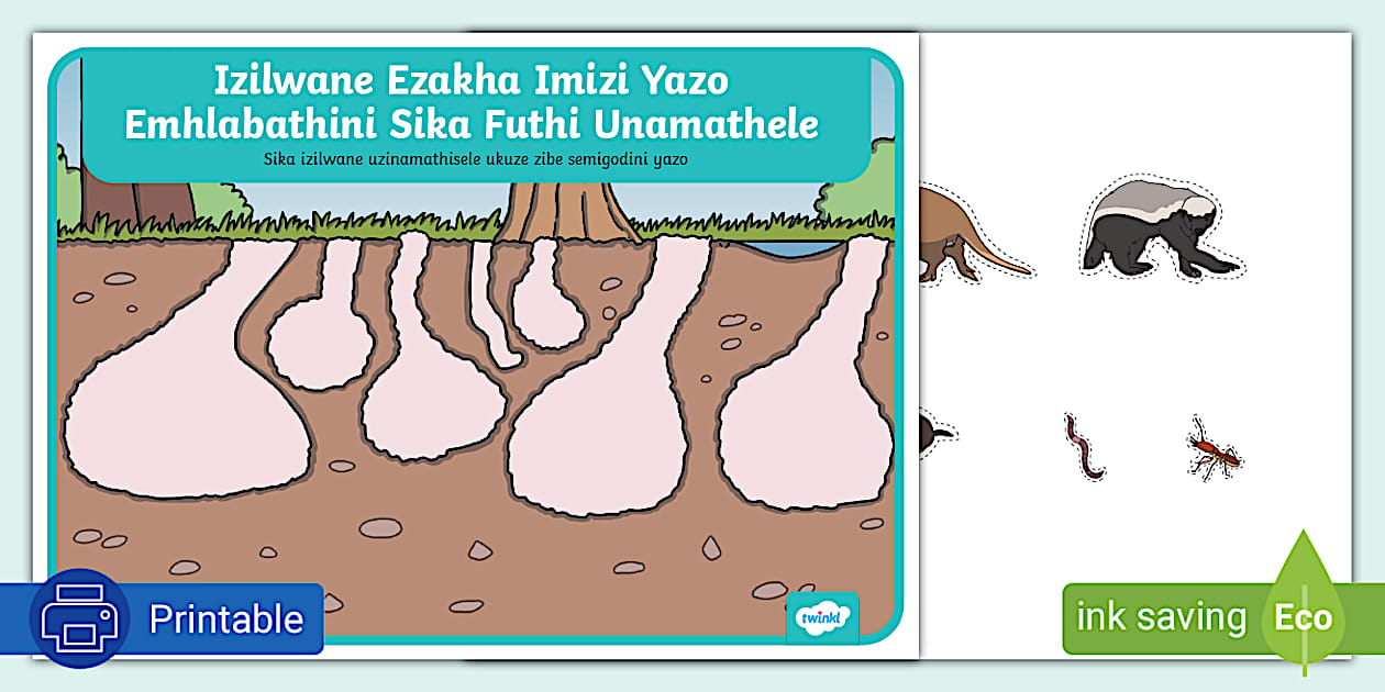 Izilwane Ezakha Imizi Yazo Emhlabathini Sika Futhi Unamathele