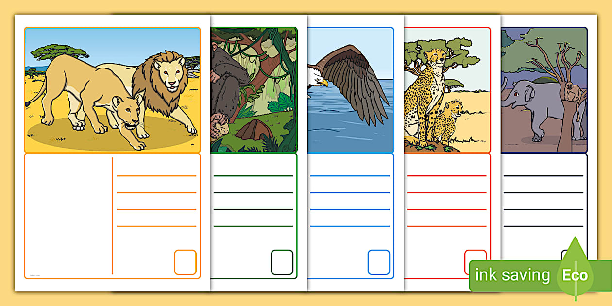 Animal Kingdom Postcards (Teacher-Made) - Twinkl