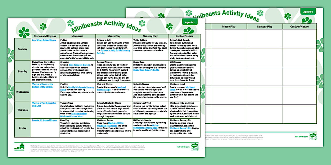 EYFS Baby Room Planning: Minibeasts | Twinkl