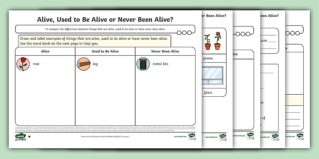 Alive, Used to Be Alive or Never Alive Worksheets - Twinkl