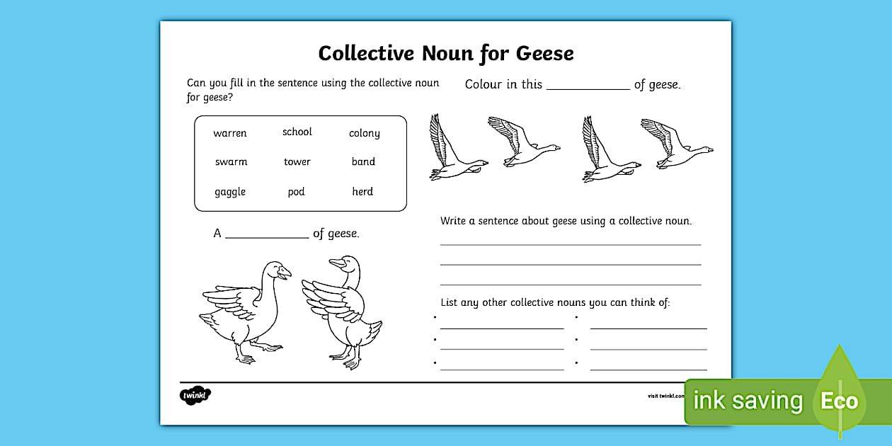 Collective Noun - Geese Worksheet (teacher made) - Twinkl