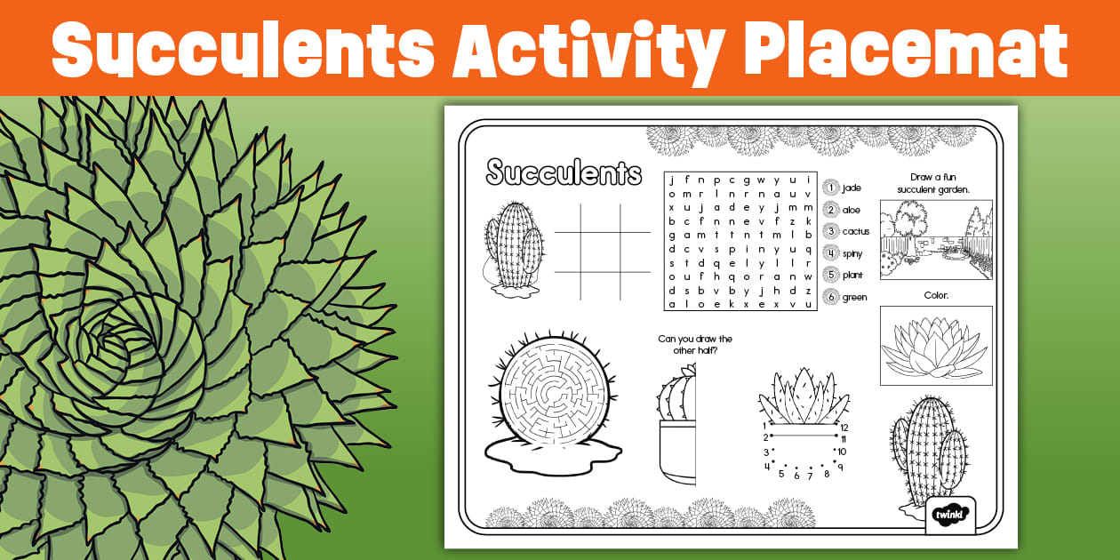 Succulents Activity Place Mat (teacher made) - Twinkl