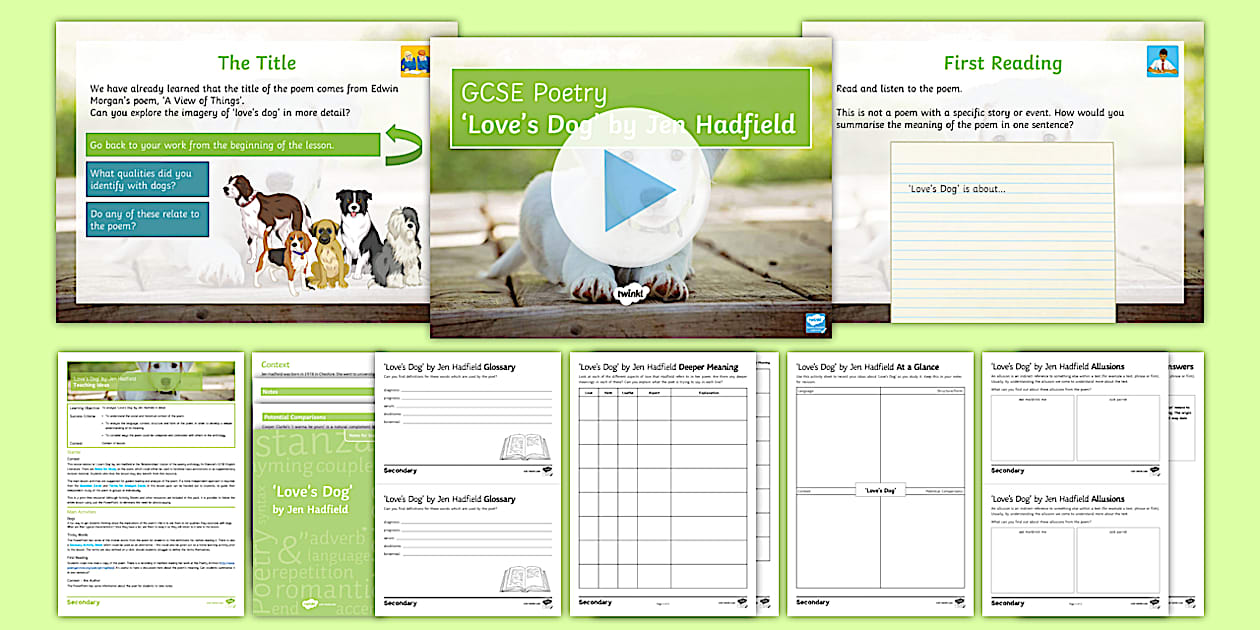 GCSE Poetry Lesson Pack to Support Teaching on 'Love's Dog' by Jen Hadfield
