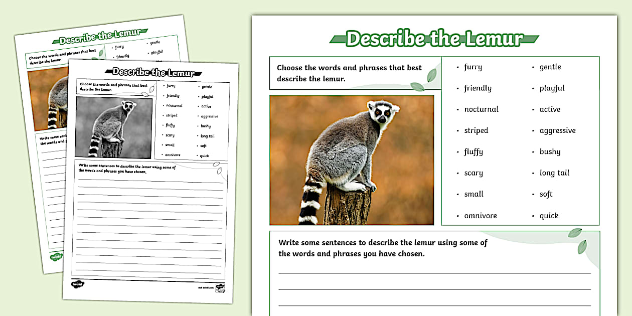 Describe the Lemur Worksheet (Teacher-Made) - Twinkl