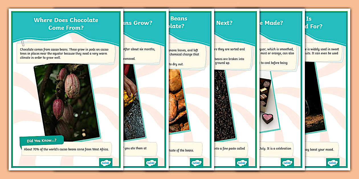 Where Does Chocolate Come From? Display Posters - Twinkl