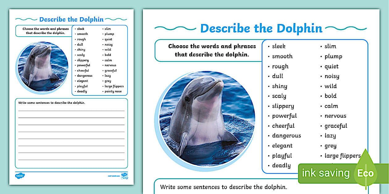 Describe the Dolphin Writing Activity Sheet (teacher made)