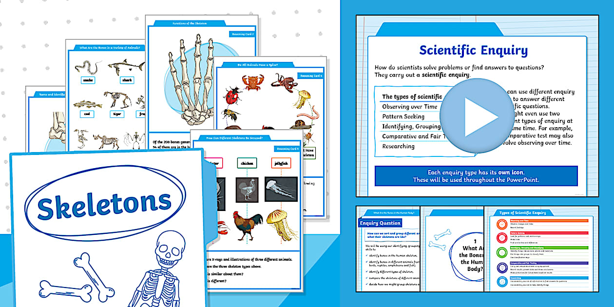 Step into Science: Y3: Autumn: Block 1: Skeletons: Steps 1 to 5