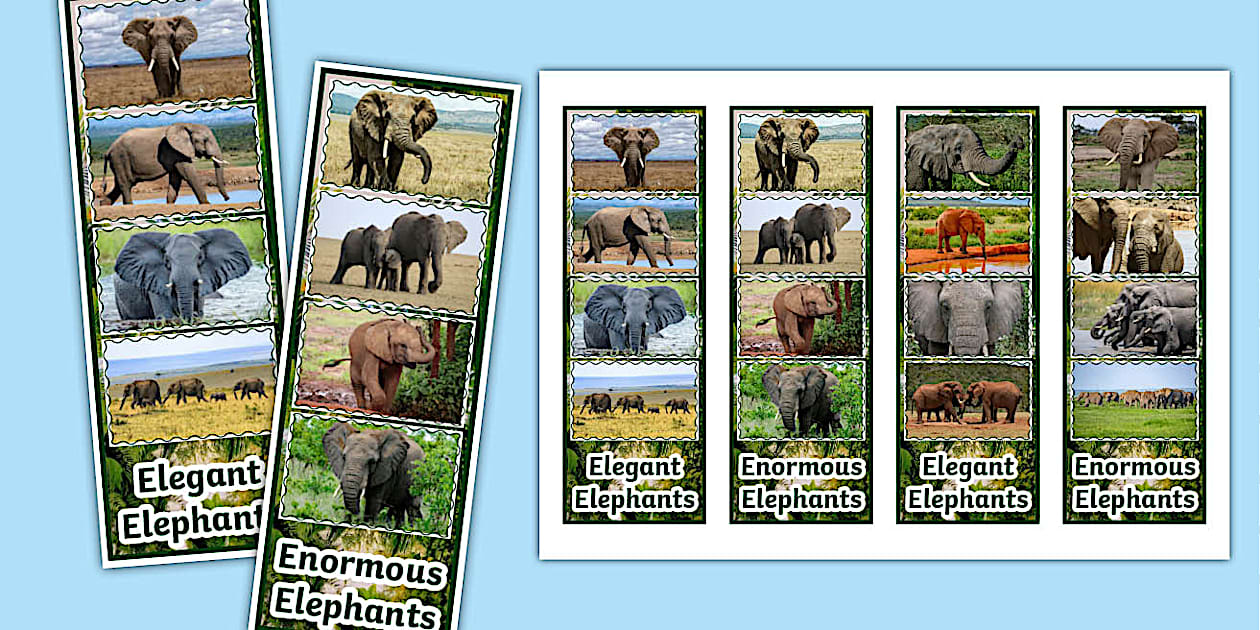 Elephant Photo Strip Bookmarks (Hecho por educadores)
