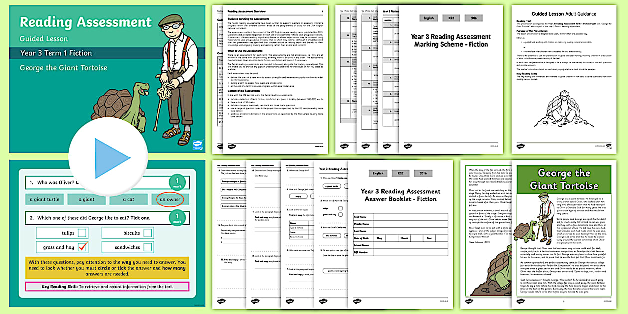 Year 3 Term 1 Fiction Reading Assessment Guided Lesson Teaching Pack
