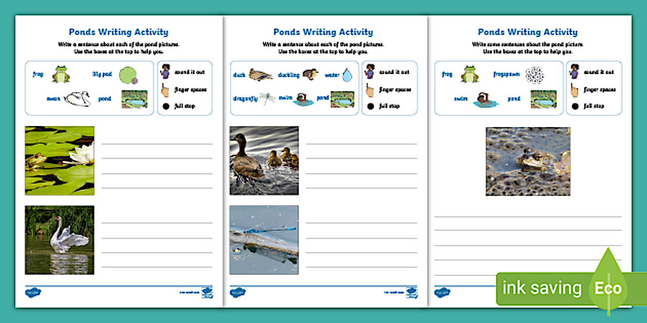 Ponds Early Writing Activities (Hecho por educadores)
