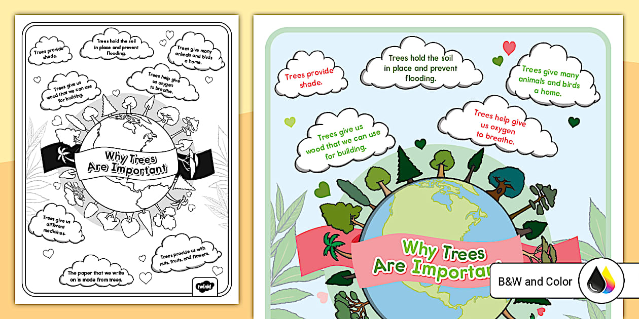 Printable Why Are Trees Important Poster | Twinkl USA