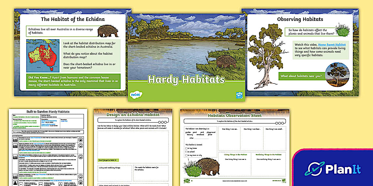 Year 5 Science Built to Survive Lesson 2 Hardy Habitats