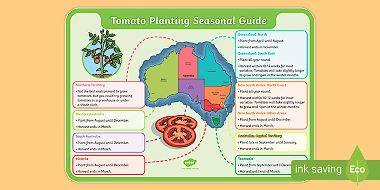 Tomato Planting Seasonal Guide - F-2 - Science and STEM