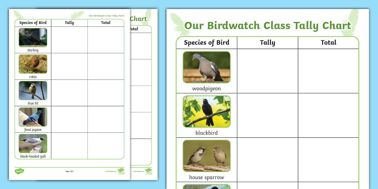 Our Birdwatch Class Tally Chart - Twinkl - KS1 - Twinkl