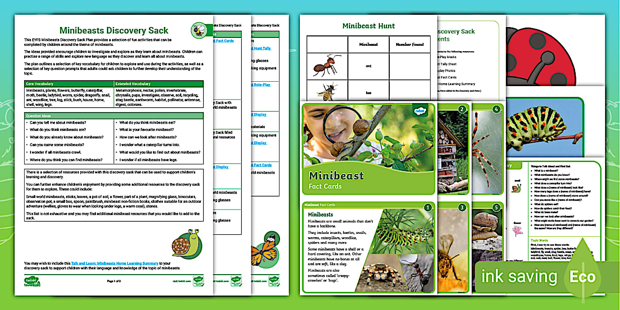 EYFS Minibeasts Discovery Sack Plan and Resource Pack Twinkl