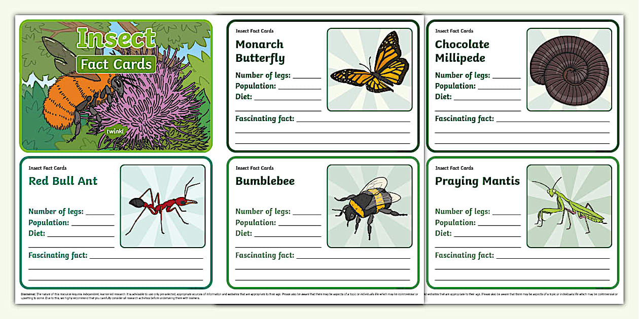 Insects Fact Cards Template