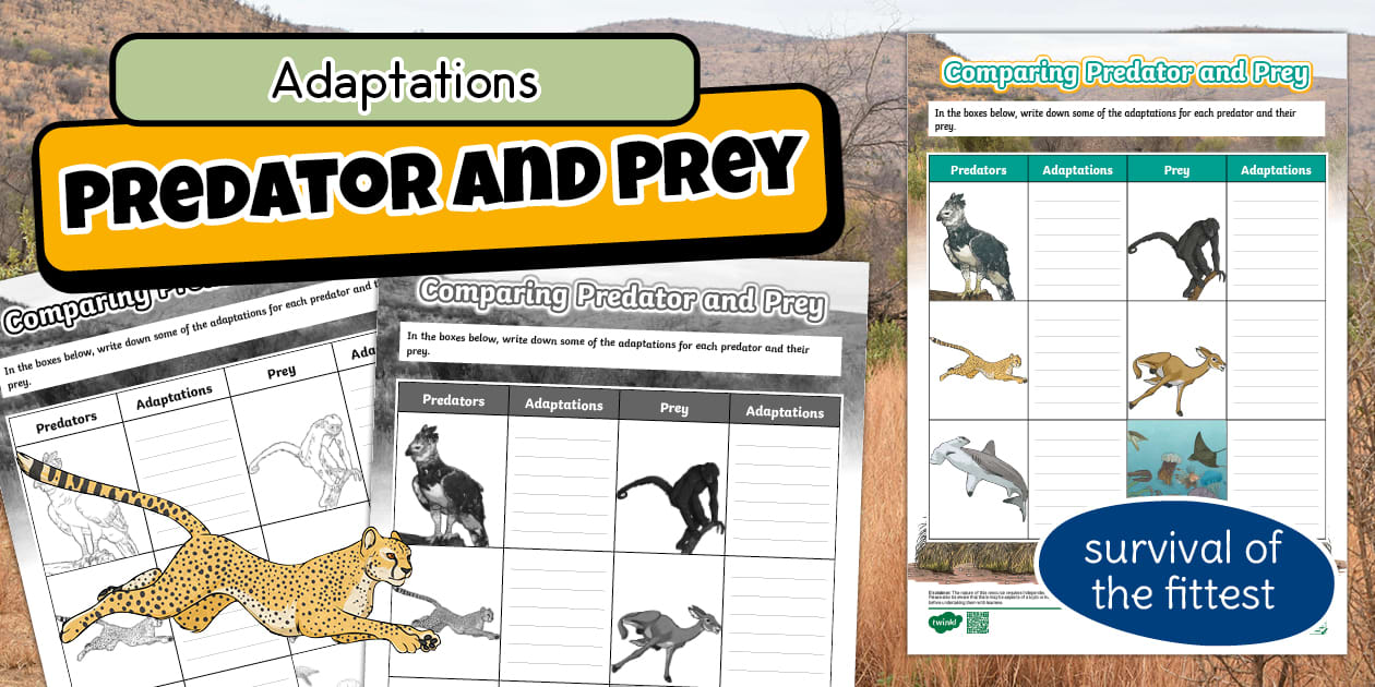 Predators and Prey Adaptations Worksheet