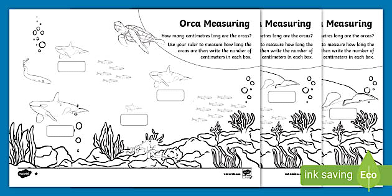 Editable Orca Measuring Length in Centimetres Differentiated Worksheets