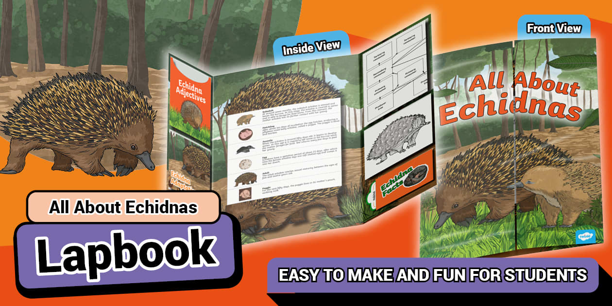 All About Echidnas Lapbook Activity Pack