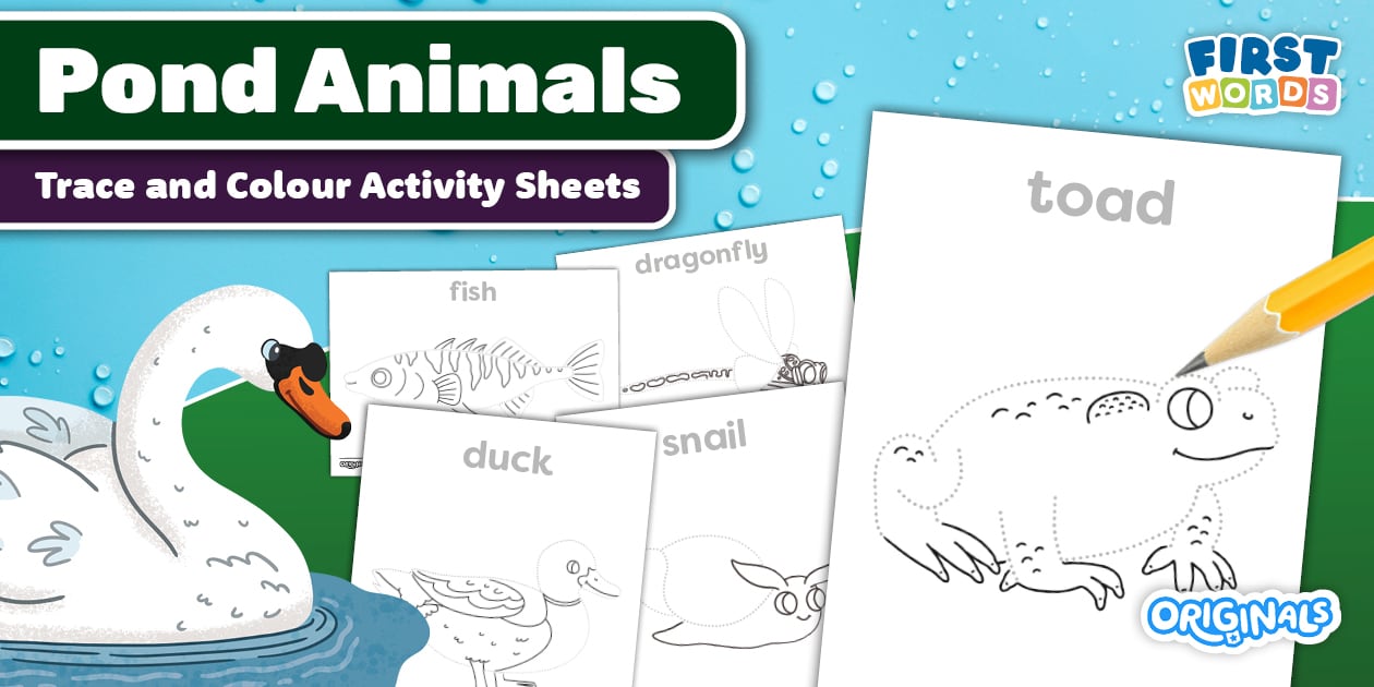 Trace and Colour Pond Animals Activity Sheets