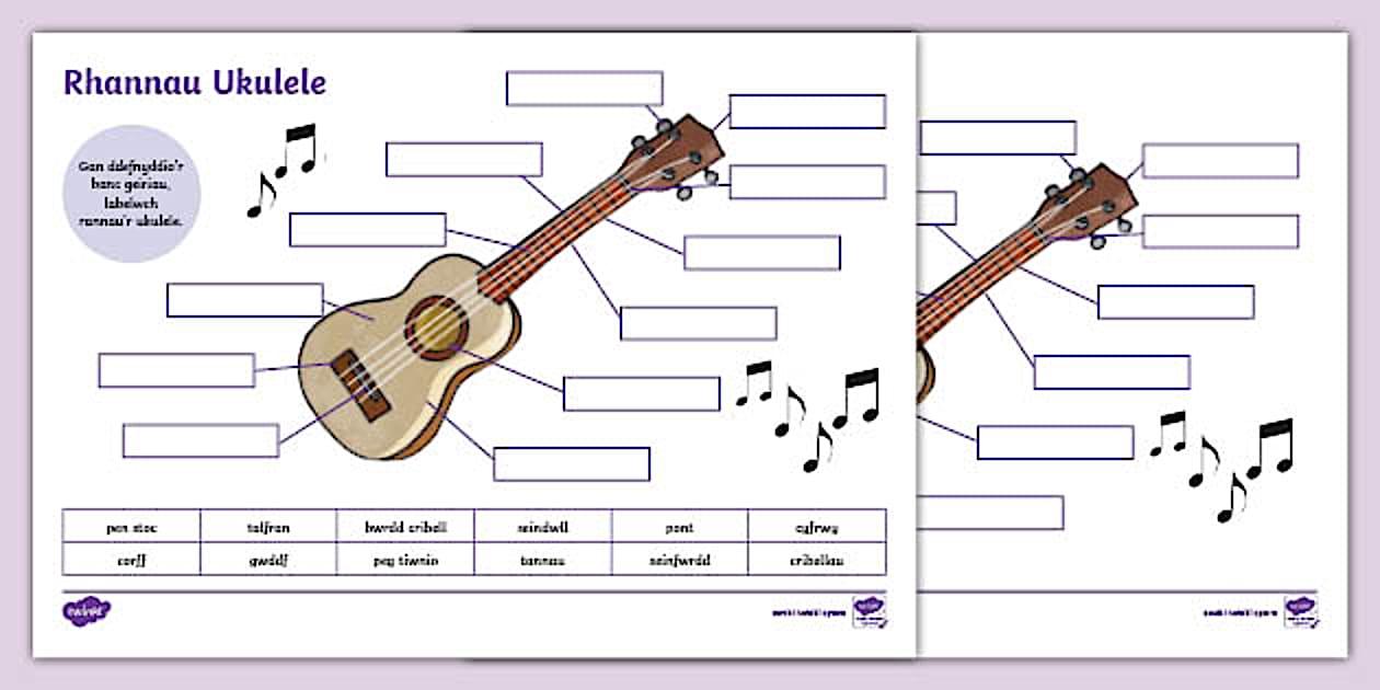 Labelu Rhannau Ukulele (teacher made) - Twinkl