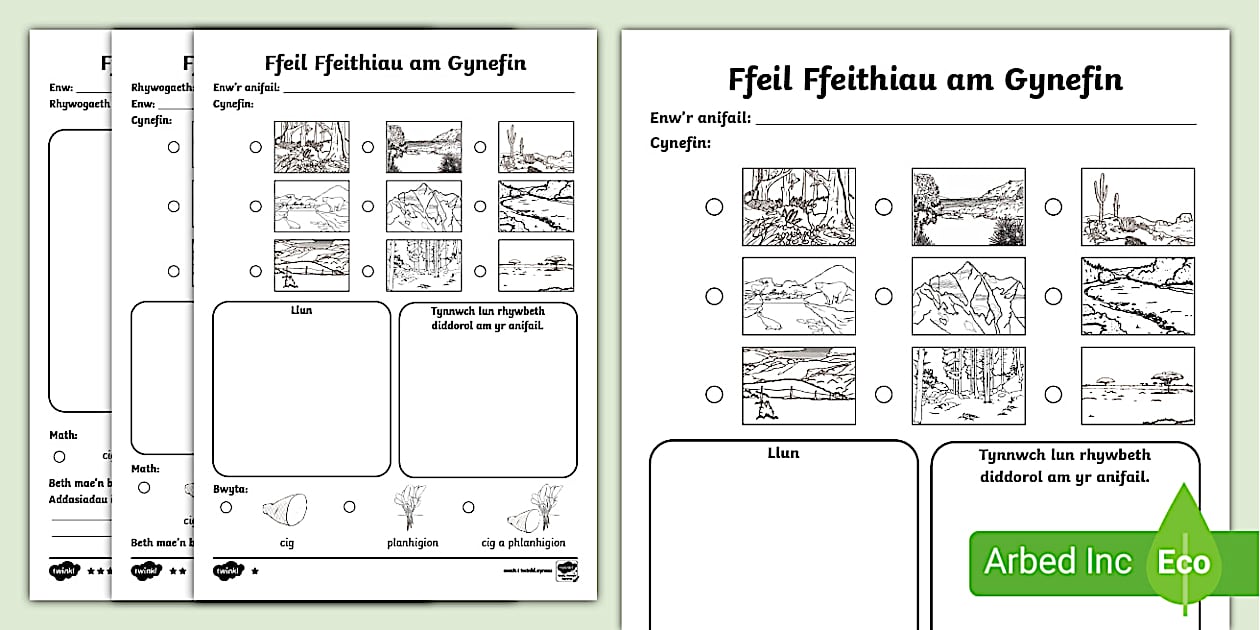 Taflen Waith Ffeil Ffeithiau am Gynefin Gwahaniaethol