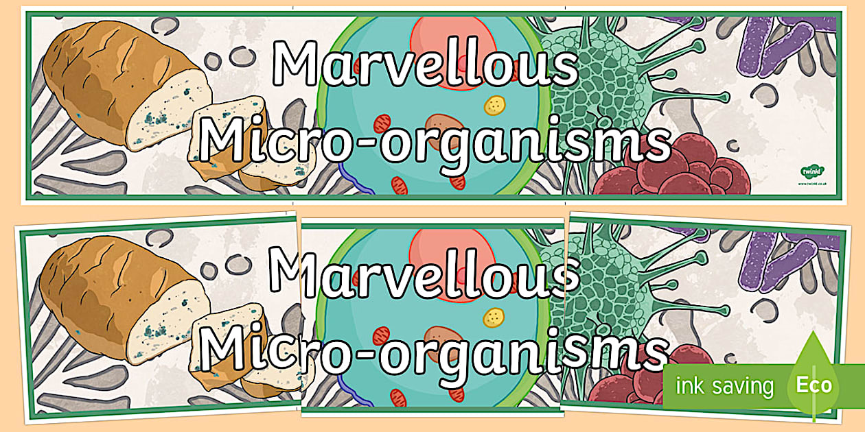 Marvellous Microorganisms Display Banner (teacher made)