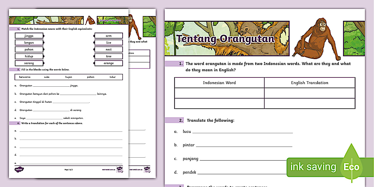 Indonesian Animals: All About Orangutans Upper Primary