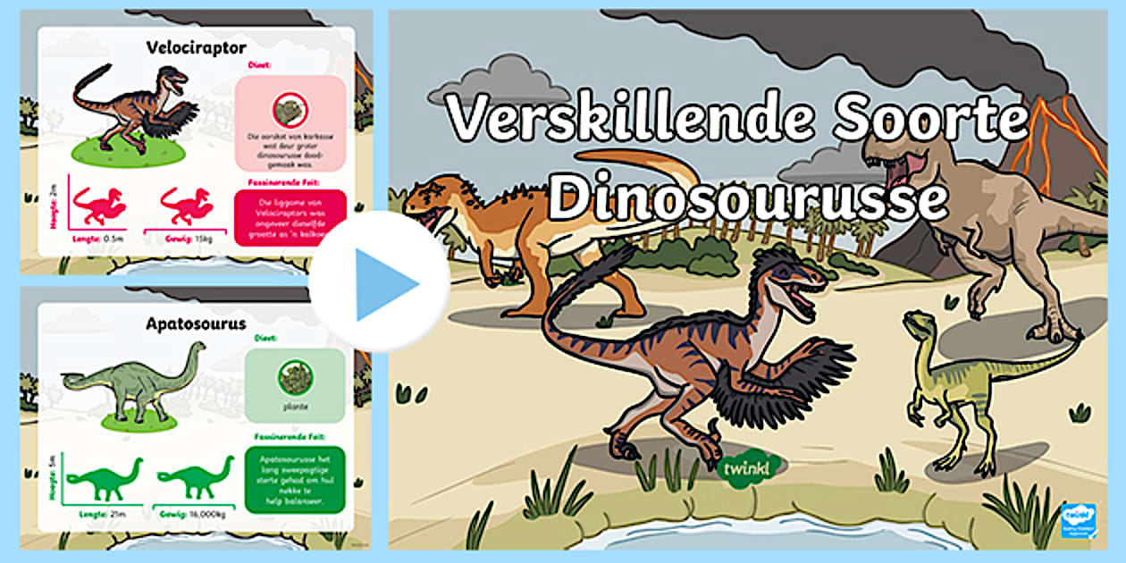 Verskillende Soorte Dinosourusse PowerPoint (teacher made)