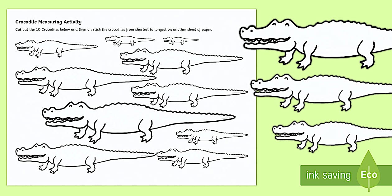 Crocodile Measurement Worksheet / Worksheet - Twinkl