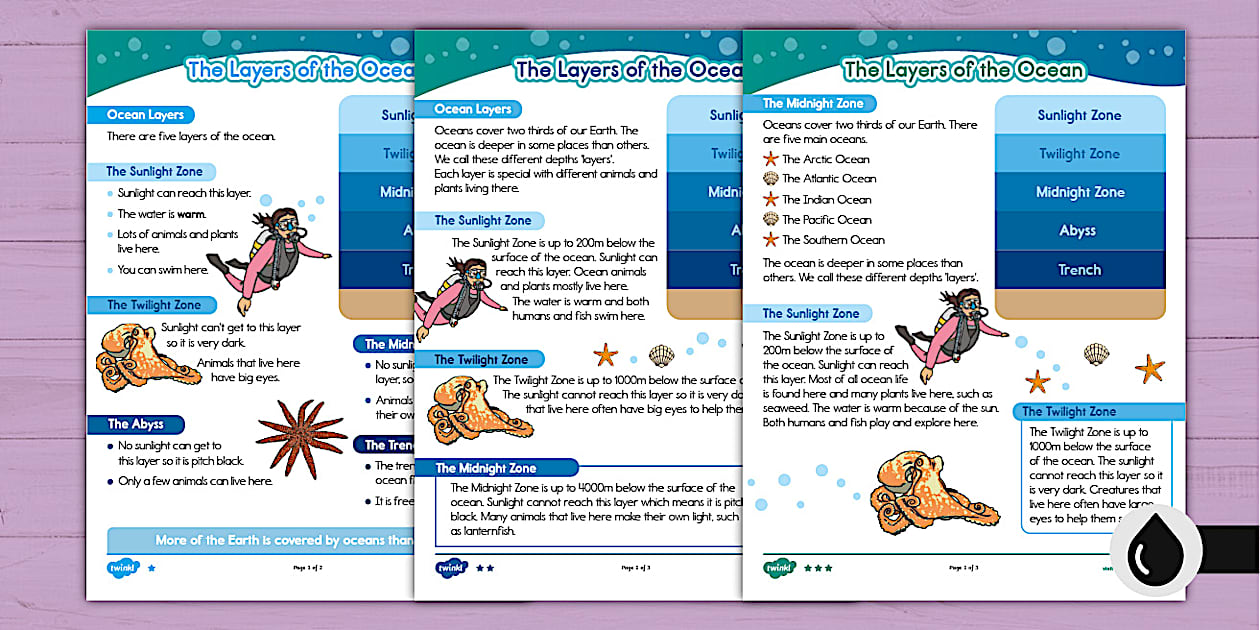 Layers of the Ocean: Differentiated Reading Comprehension Activity