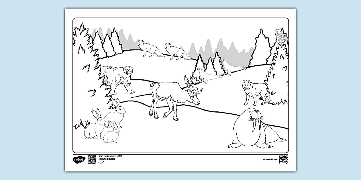 Polar Animals Colouring Montage Page (teacher made) - Twinkl