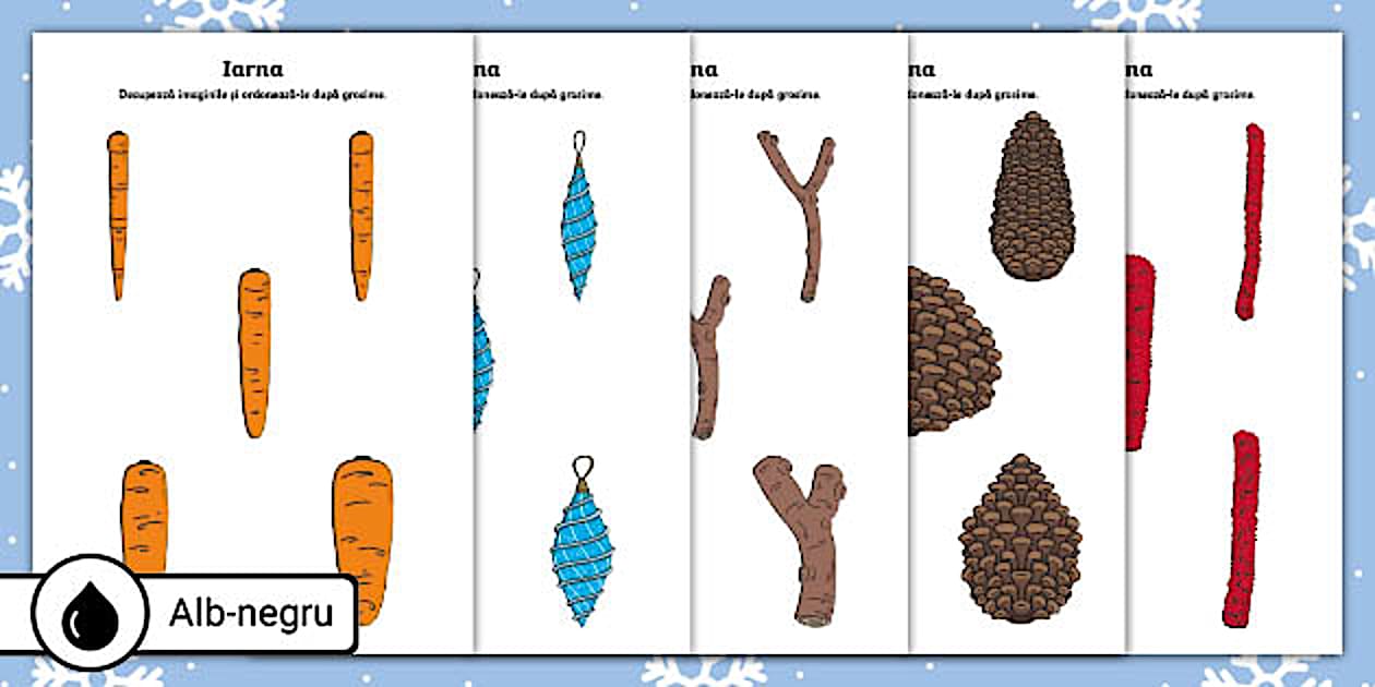 Iarna – Activitate de ordonare după grosime - Twinkl