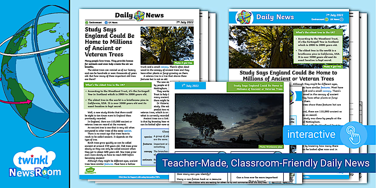 More Ancient and Veteran Trees - KS2 Reading Comprehension